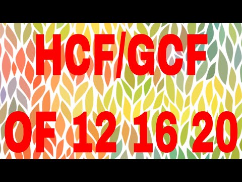 HCF of 12 16 20|GCF of 12 16 20