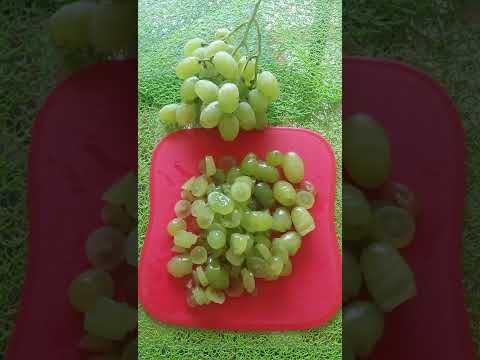 Sour grape ? No problem 😊 Recipe for sour grapes.