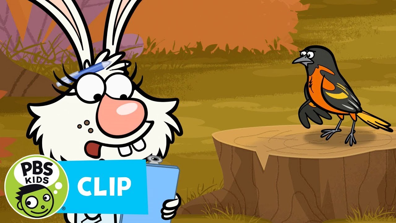 NATURE CAT | Brooks The Baltimore Oriole | PBS KIDS