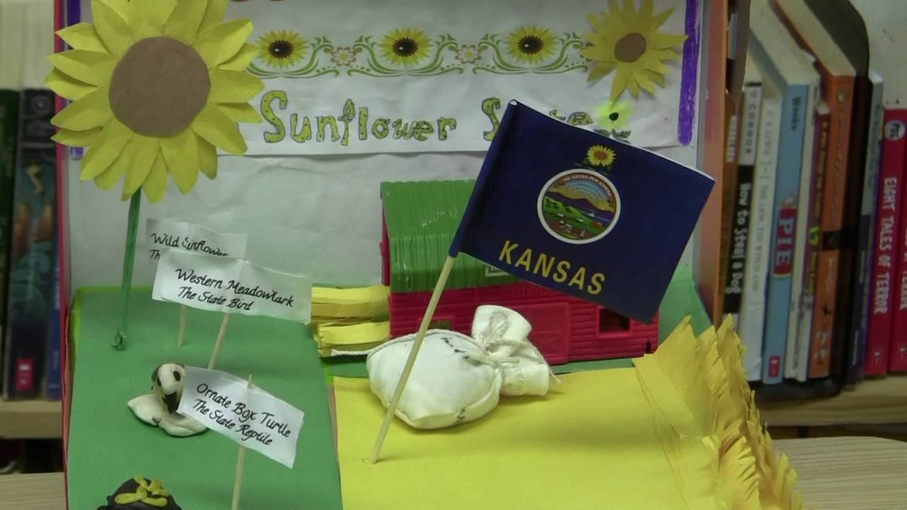 Kansas State Float by Snowy