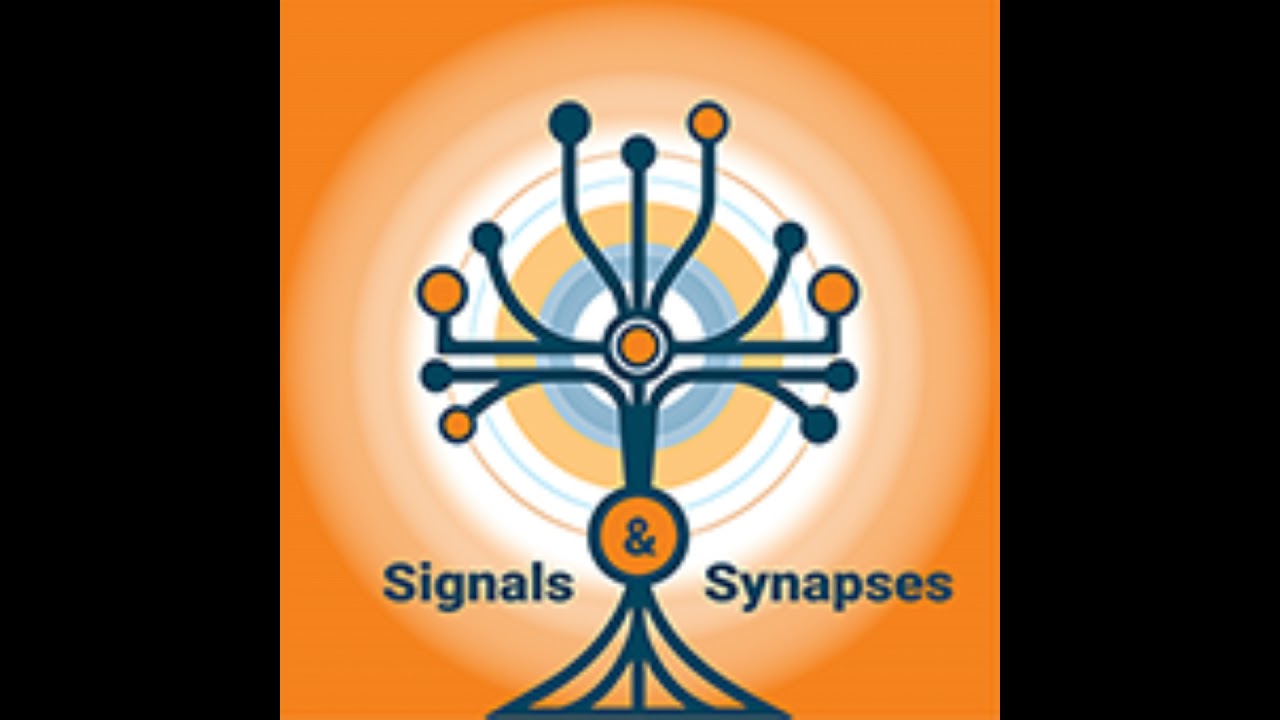 Tuned In: The Rhythms of the Brain