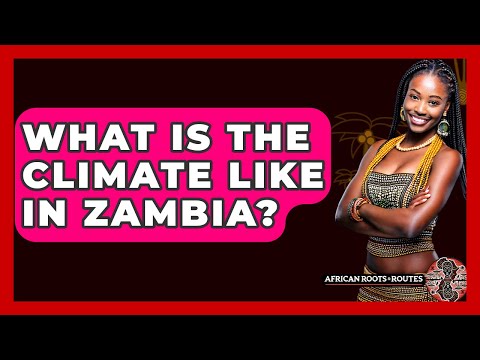 What Is The Climate Like In Zambia? - African Roots And Routes