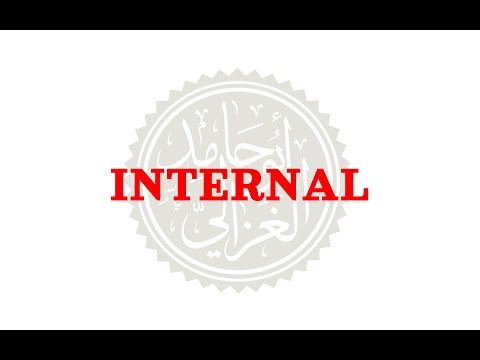 How to pronounce INTERNAL | Meaning of INTERNAL and usage (with examples).