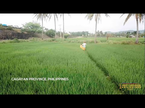 2025 Cagayan congressmen, governor, vice governor, board members ...