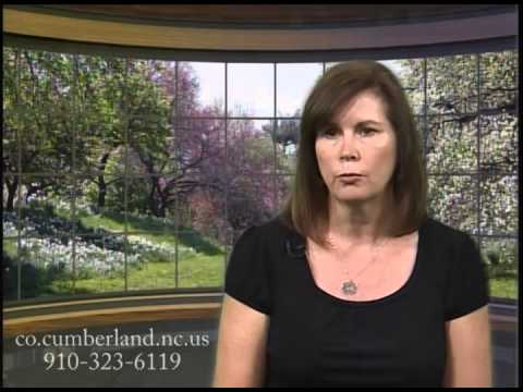 News & Info: GIS Services