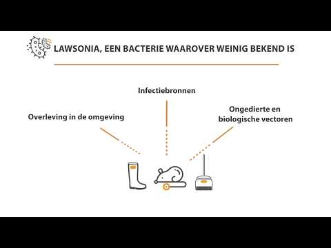 Epidemiologie PIA