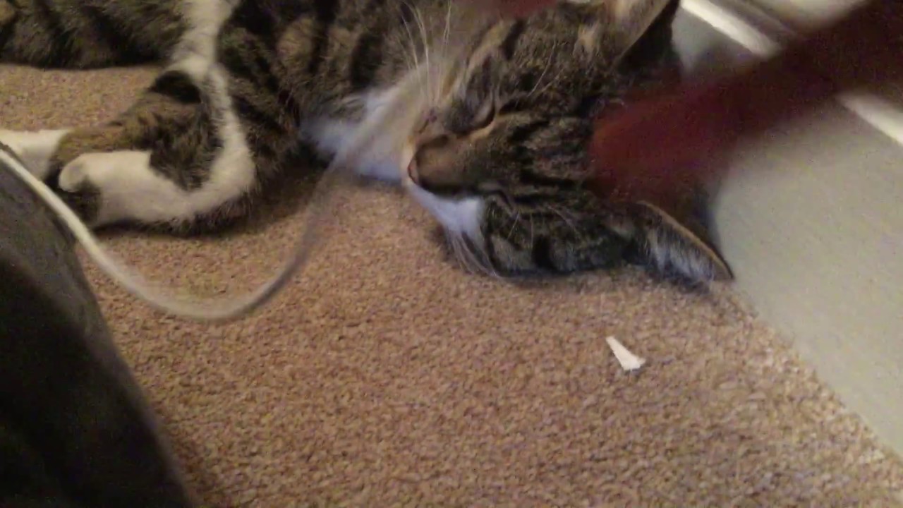 Don't be a sour puss