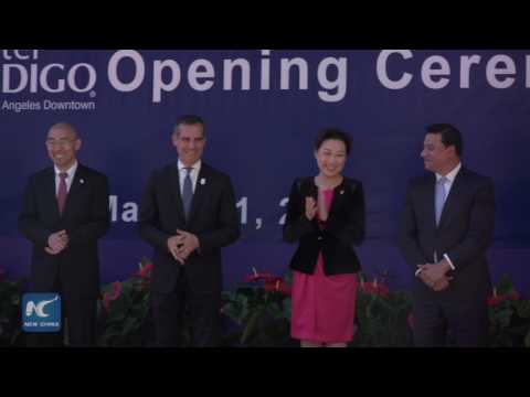 Chinese real estate developed hotel opened in LA