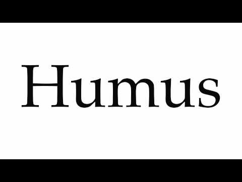 How to Pronounce Humus