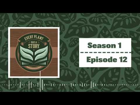 Nastic Movements & Tropisms w/Brett | Every Plant Story Podcast | S1E12