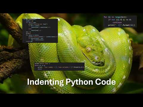 Indentation in Python - Yes, Whitespace Matters!