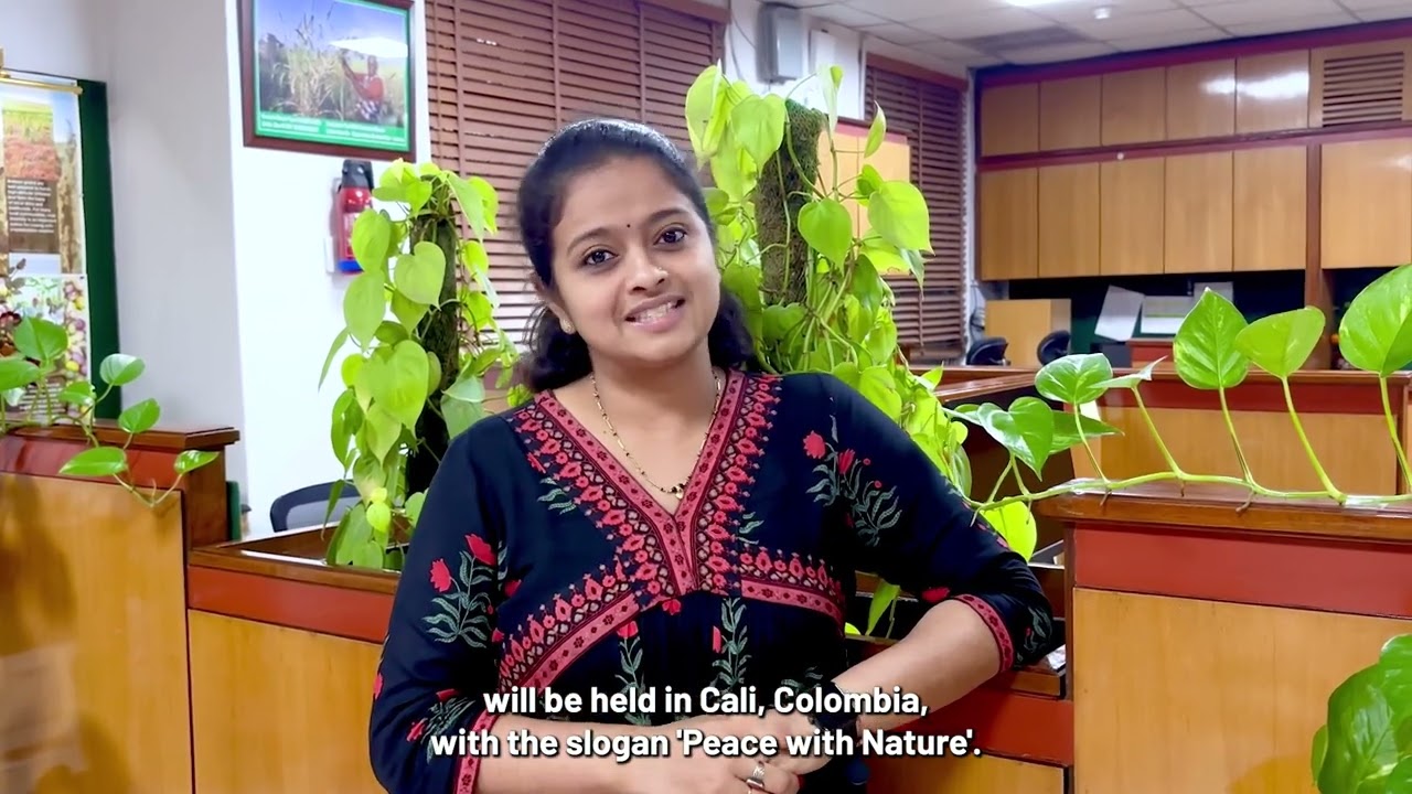 The Alliance at COP16 on biodiversity: what you need to know