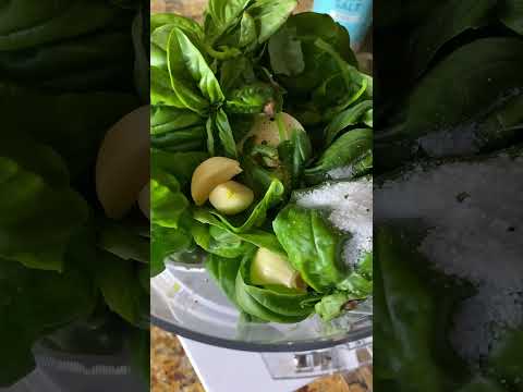 Pesto Recipe without Nuts
