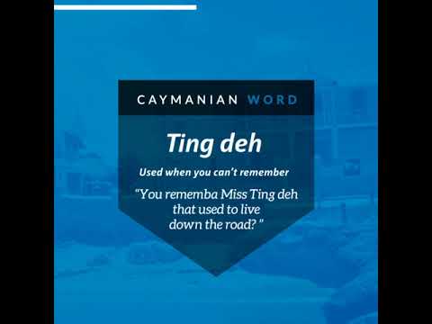 Word Meaning Wednesday: Ting deh