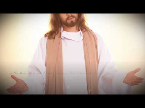The Meaning Of Sex by Christopher Doyle, MA, LPC, LCPC