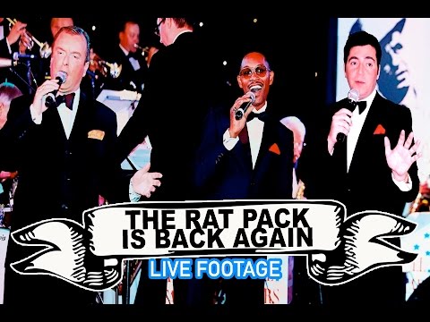 The Rat Pack is Back Again - Rat Pack Singers - Surrey