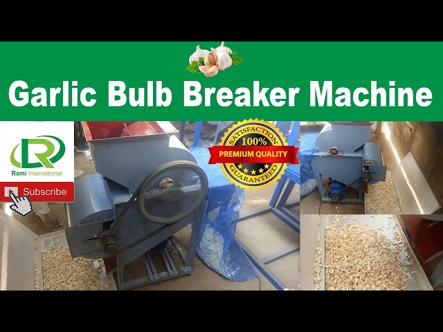 Garlic Bulb Breaking Machine - Garlic Bulb Cutter Manufacturer from ...