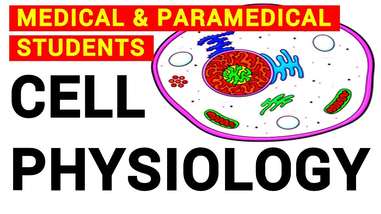 CELL PHYSIOLOGY | PHYSIOLOGY
