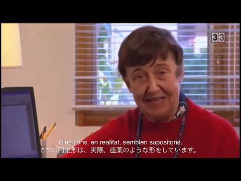 Denise Schmandt-Besserat - The Writing Code - Token
