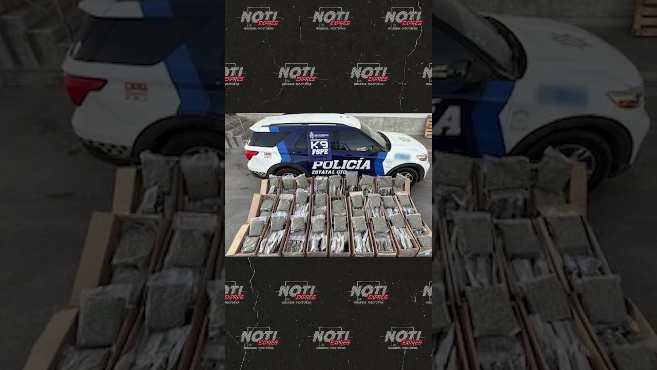 #National More than 160 kilos of marijuana seized hidden in a parcel warehouse in León