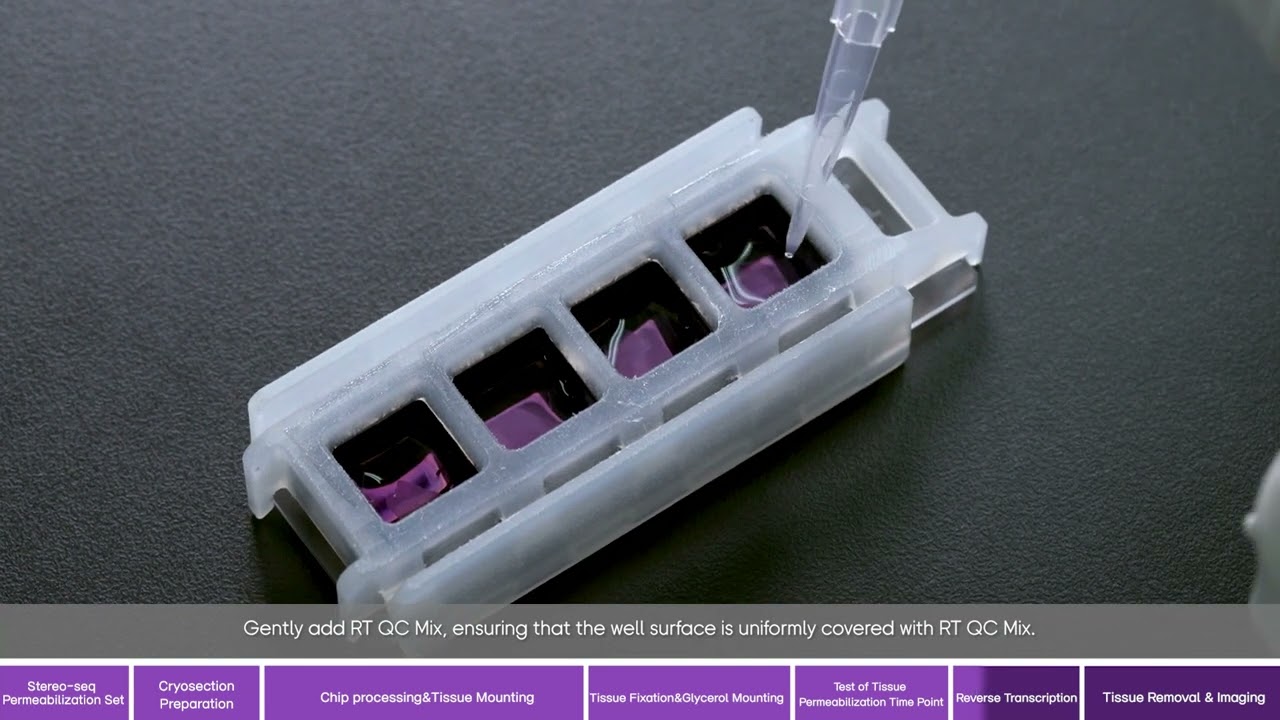 Stereo-seq Chip P Slide Experiment Operational Guide