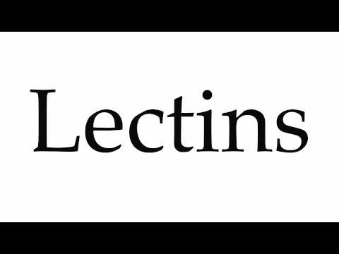 How to Pronounce Lectins