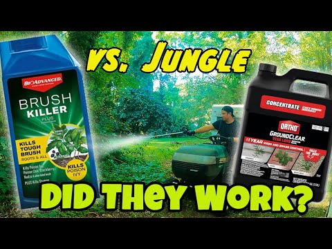 RESULTS! Ortho Ground Clear & BioAdvance Brush Killer Put to the TEST