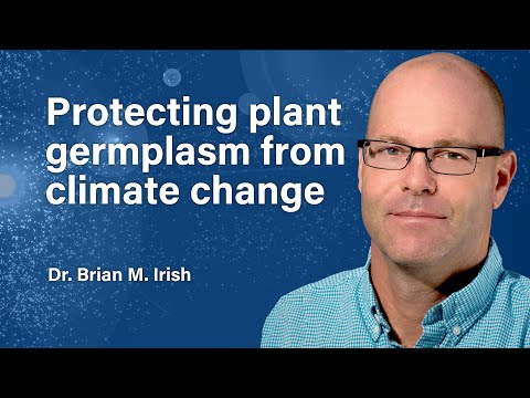 Nibbles: Community seedbanks everywhere, USDA genebanks, Public sector ...