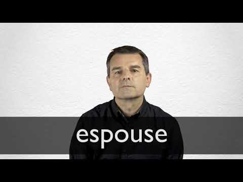 ESPOUSE definition and meaning | Collins English Dictionary