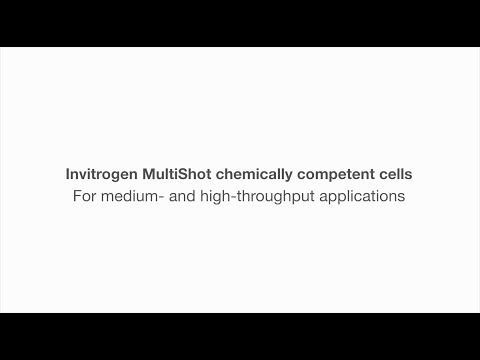 Invitrogen MultiShot E. coli configuration overview