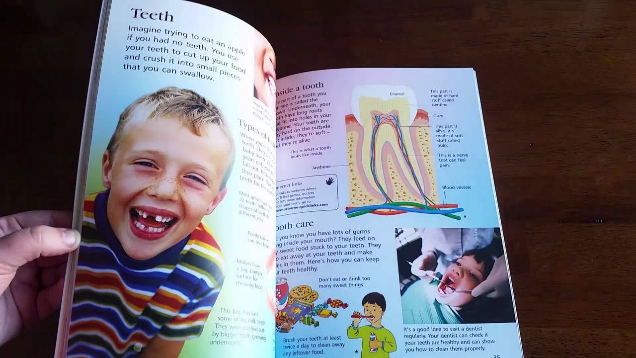 First Encyclopedia of the Human Body: Usborne Books & More