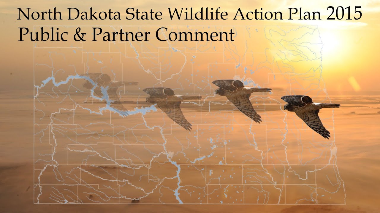 State Wildlife Action Plan - NDGNF