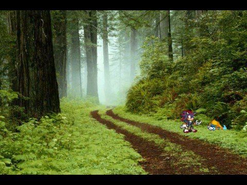 S3X Episode 1 - Shadow Finds a Friend