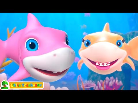 Baby Shark Song & More Nursery Rhymes & Kids Songs - Live