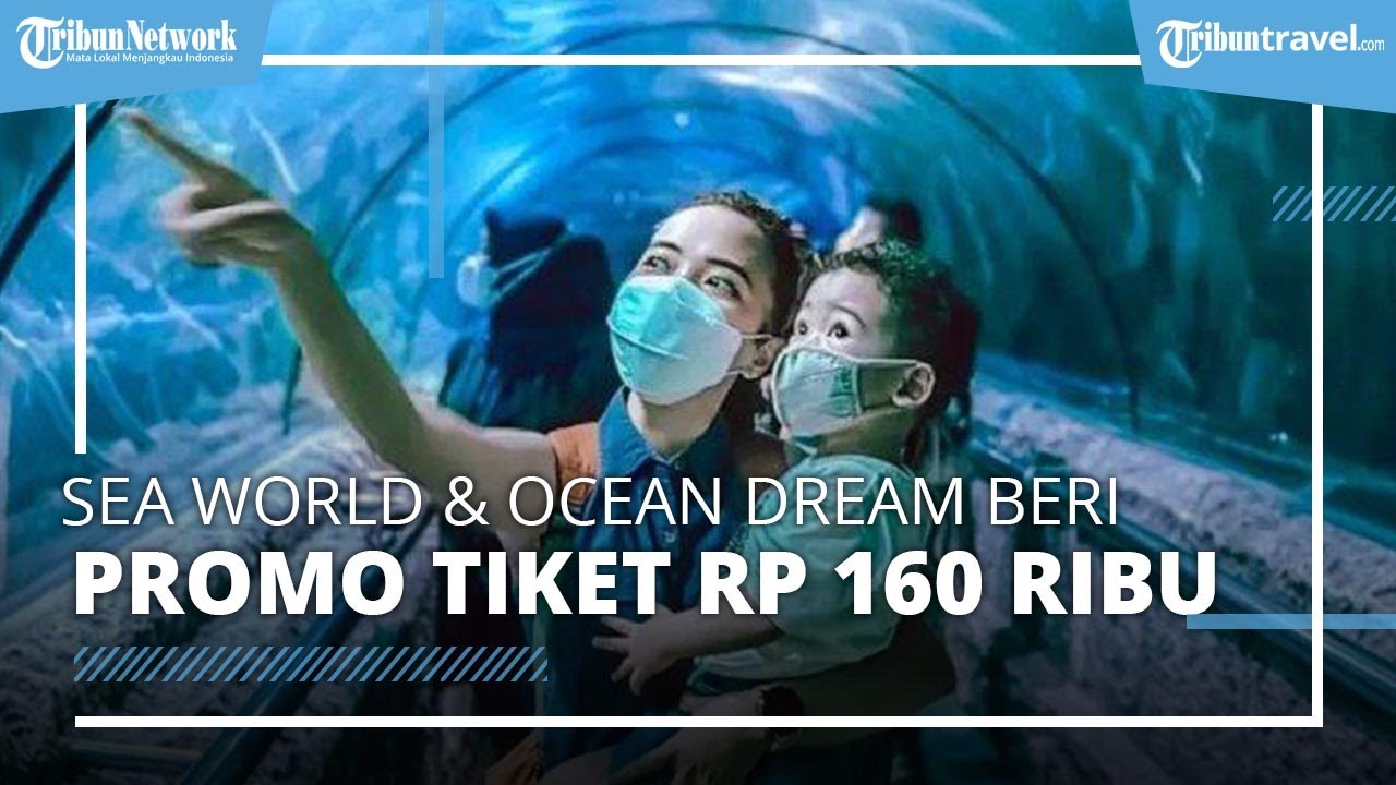 Sea World Ancol & Ocean Dream Samudra Hadirkan Promo Tiket Masuk Cuma Rp 160 Ribu, Catat ...