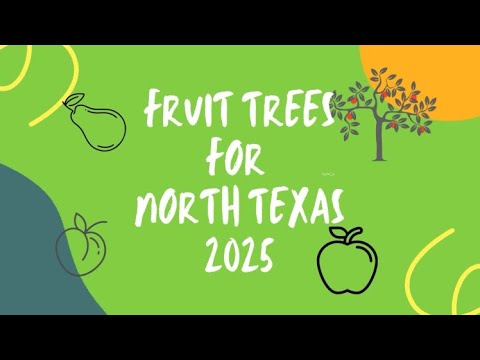 Organic Gardening Guide: Fruit Trees for North Texas