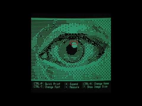The Crow: "Computer Girl (feat. Leni Solina)"