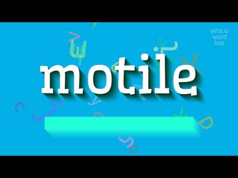 How to say "motile"! (High Quality Voices)