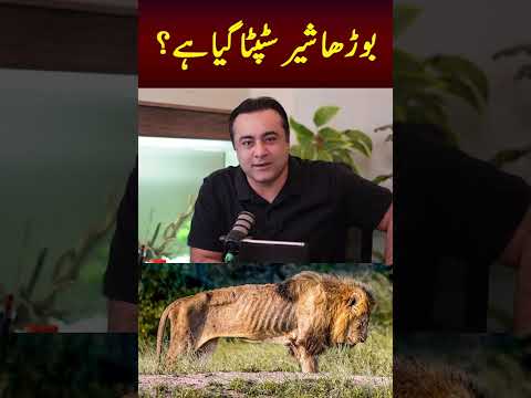 بوڑھا شیر سٹپٹا گیا ہے؟