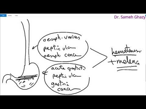 شرح Systemic pathology 40 GIT 9 GIT ulcers and bleeding DR SAMEH GHAZY ...