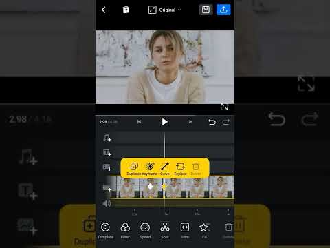 Crash ZOOM in VN tutorial