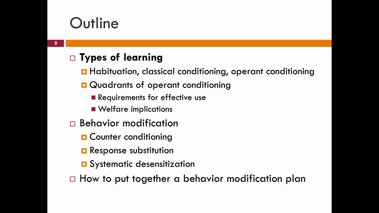 Behavior Modification for Cats: 1. - class
