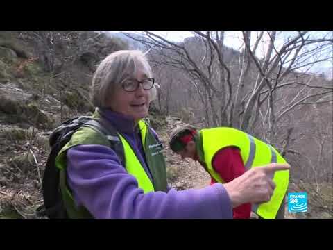 The spring awakening of the forest in France's Ardèche region