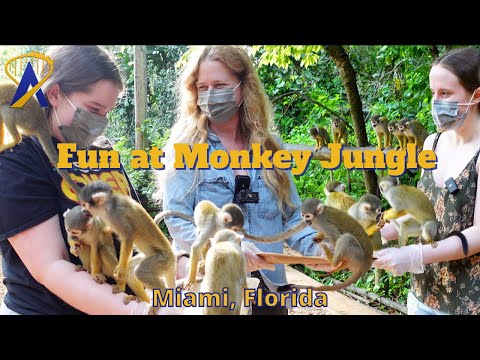 Fun from Monkey Jungle in Miami