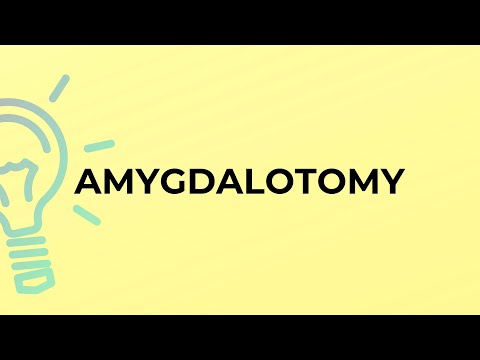 What is the meaning of the word AMYGDALOTOMY?