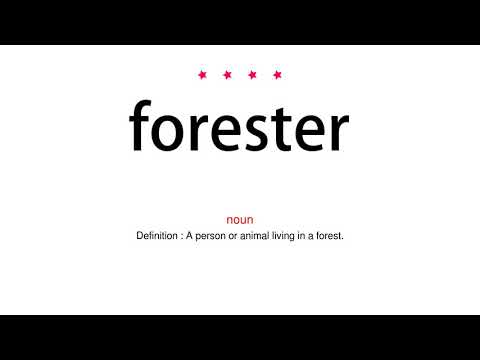 How to pronounce forester - Vocab Today
