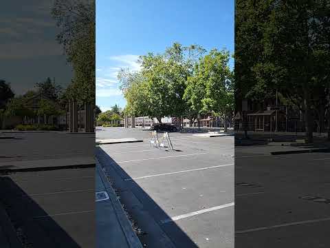 Caltrain Throung Menlo Park Station #shortvideo