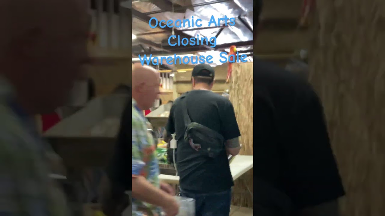 Oceanic Arts CRAZY WAREHOUSE CLEARANCE