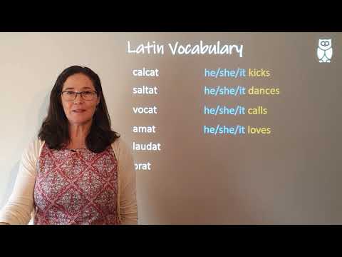 Grade 3&4 Memory Work Latin, Term 2, Week 3