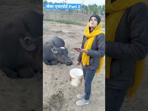 Jewar Airport Part 2